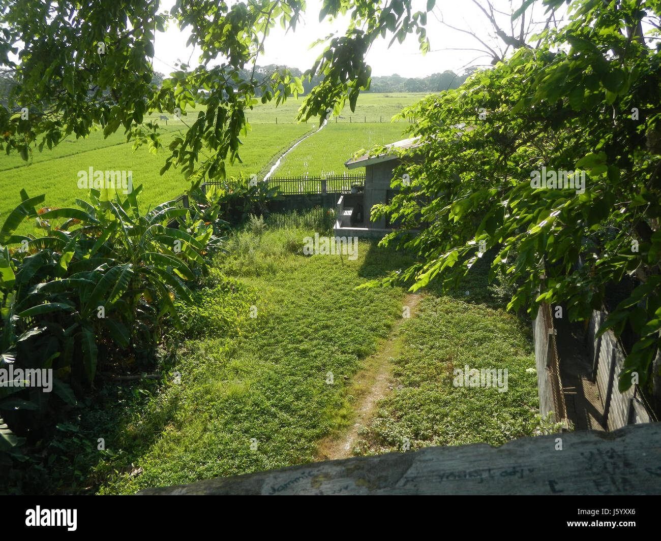 This image refers to the fields and overpasses along the NLEx (North ...