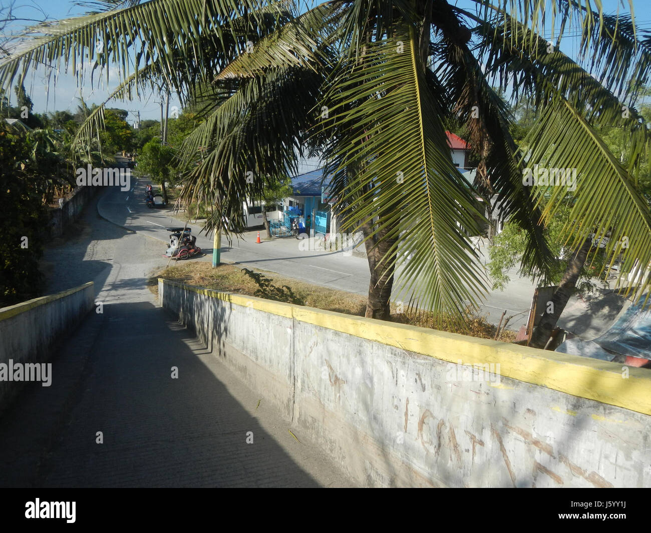 The fields of Malis near the NLEx overpasses in Guiguinto, Bulacan, are ...