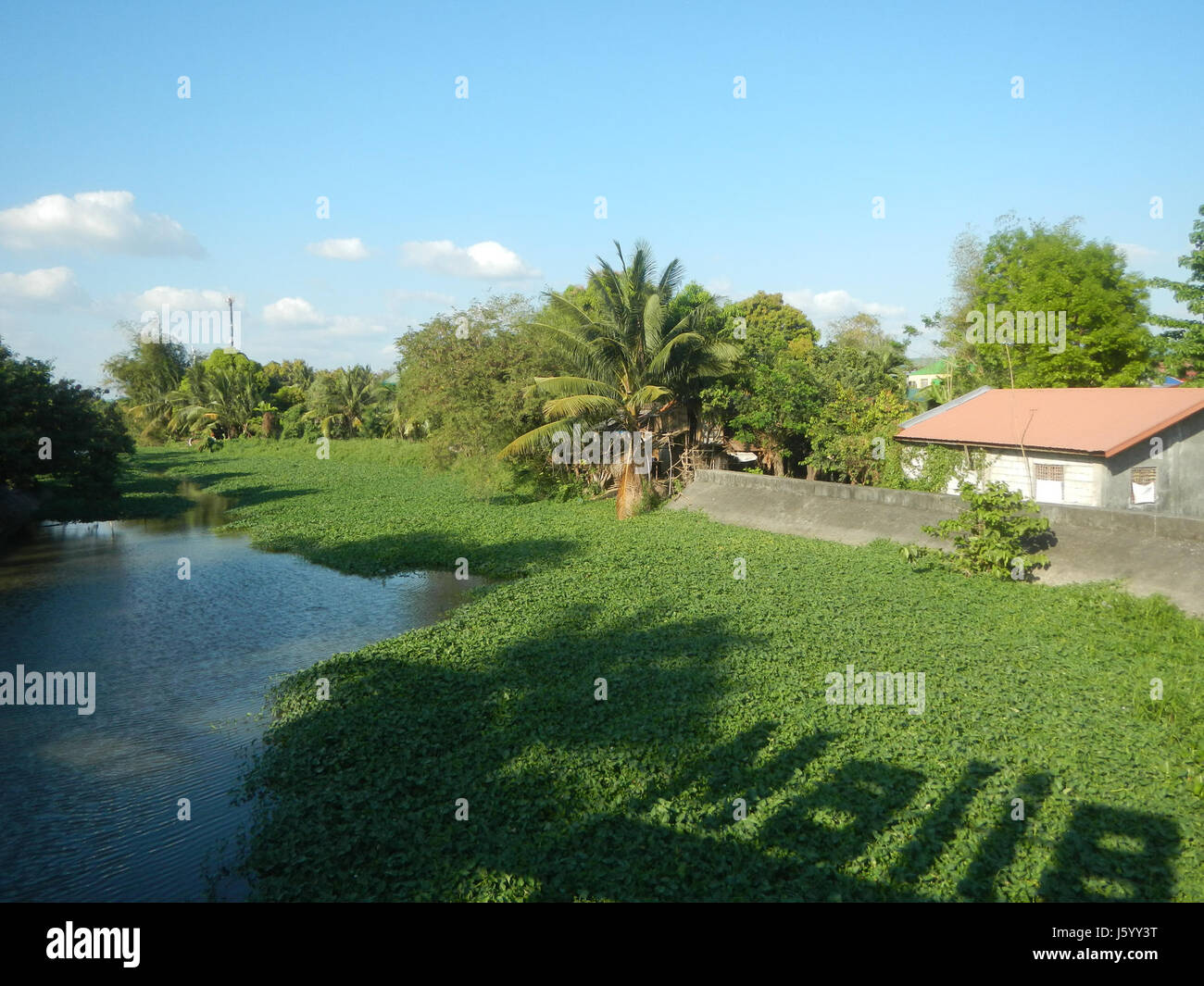 03488 Fields Malis Creek River Northville Bridge Guiguinto Bulacan ...