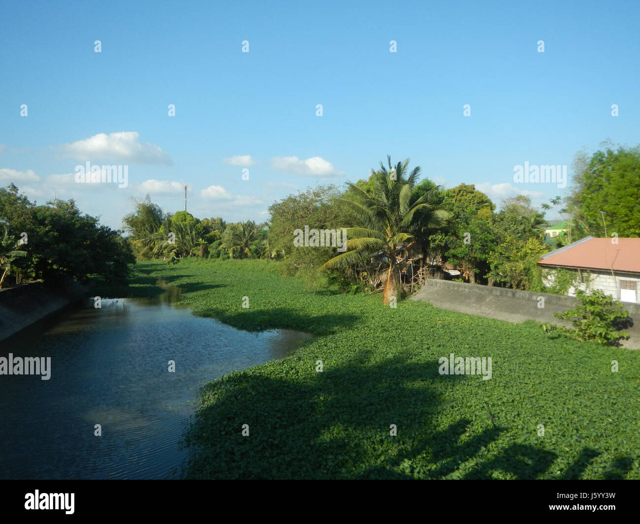 The area around Malis Creek River and Northville Bridge in Guiguinto ...