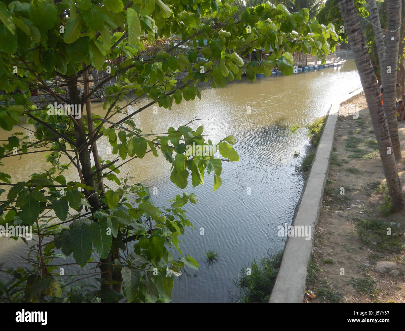 03534 Fields Malis Creek River Northville Bridge Hall Guiguinto Bulacan ...