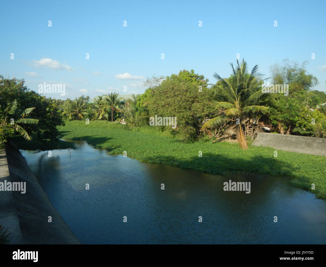 03534 Fields Malis Creek River Northville Bridge Hall Guiguinto Bulacan ...