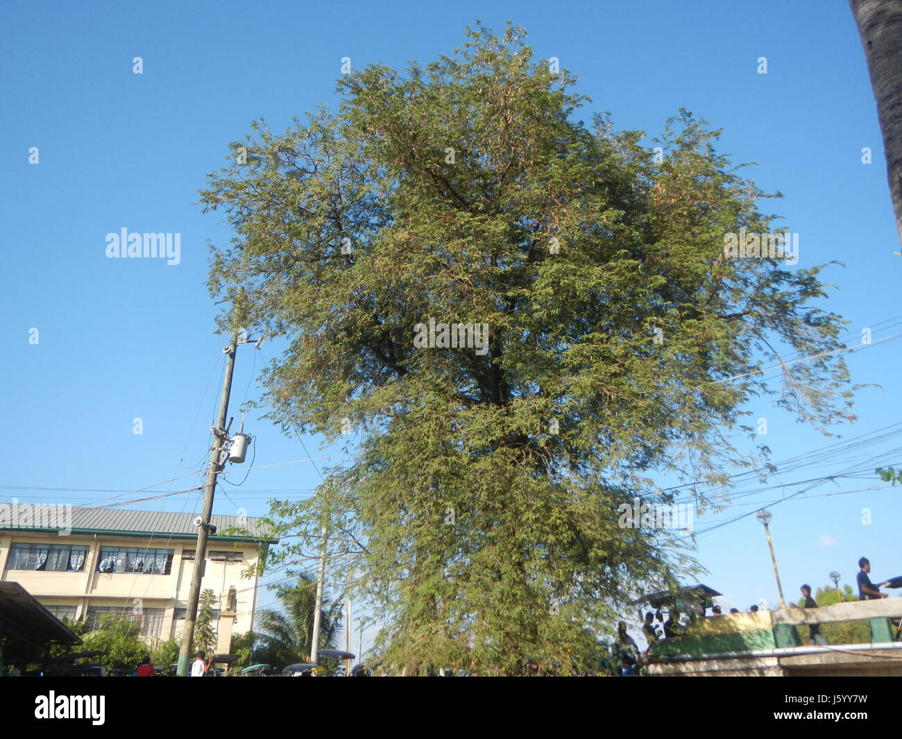 This image depicts the fields near Malis Creek and the Northville ...