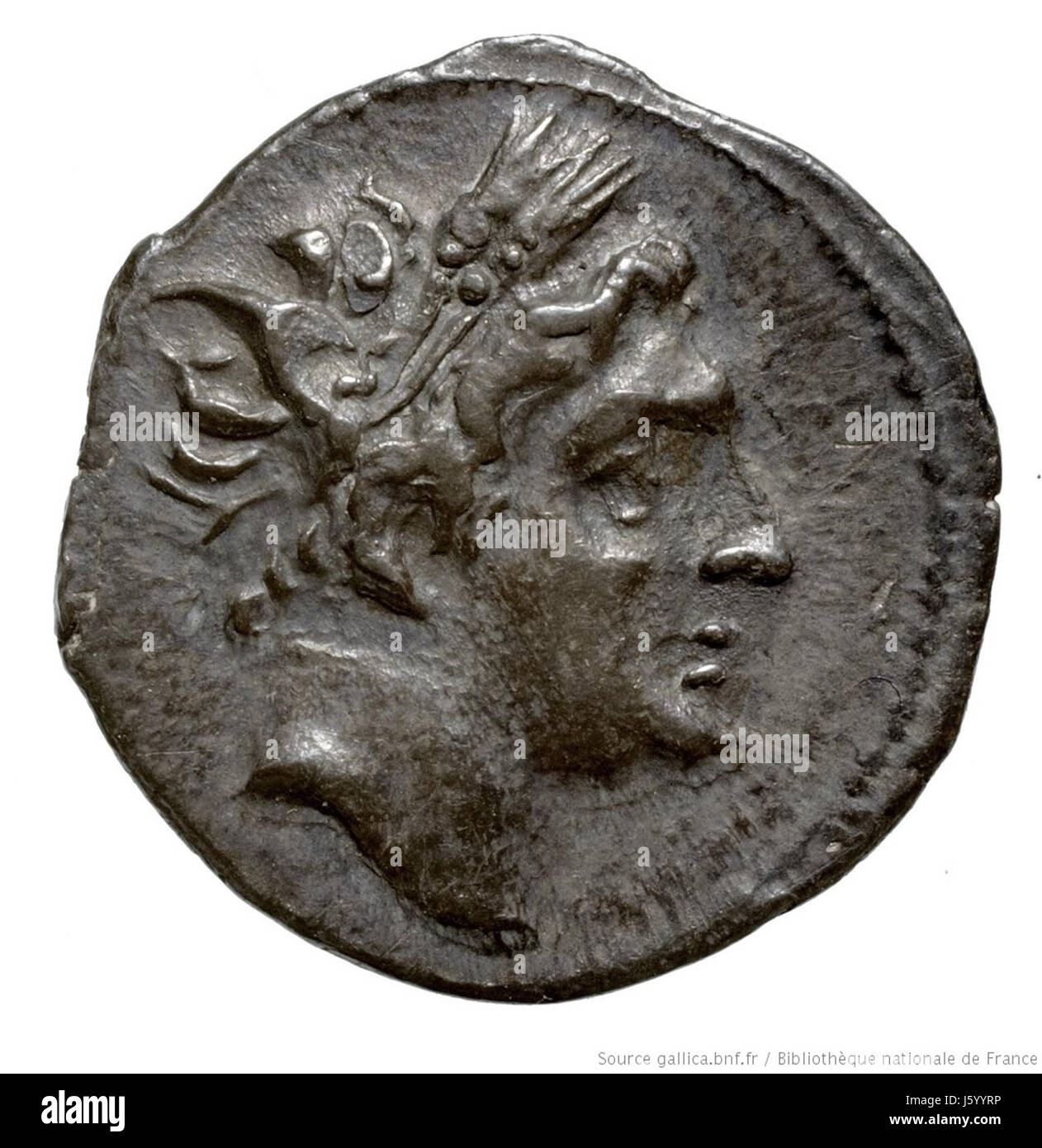 King of numidia hi-res stock photography and images - Alamy