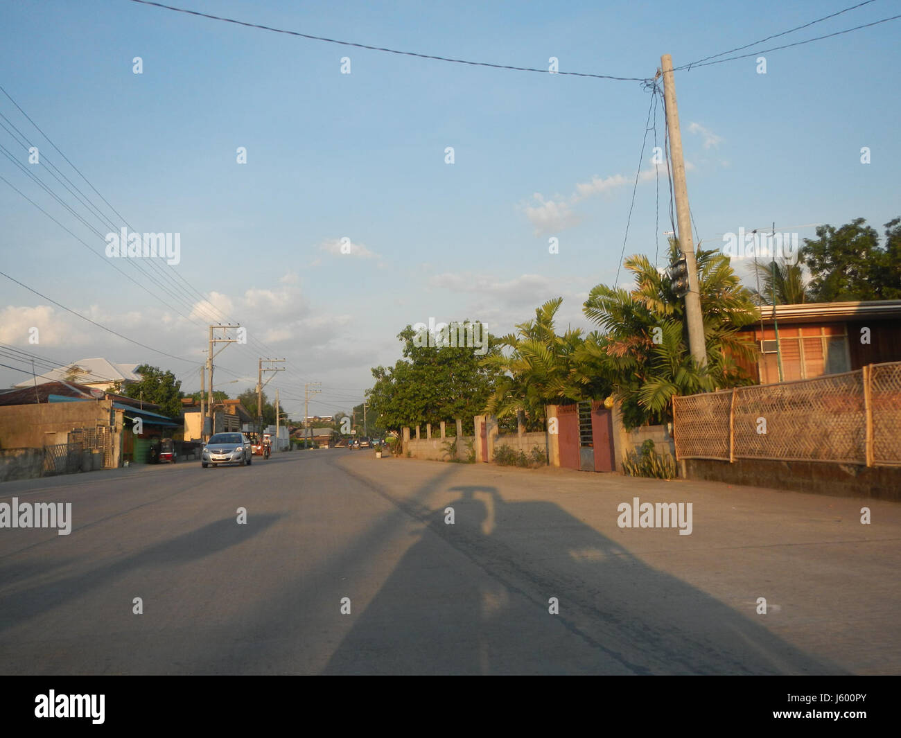 Water buffalo carabaos in hi-res stock photography and images - Alamy