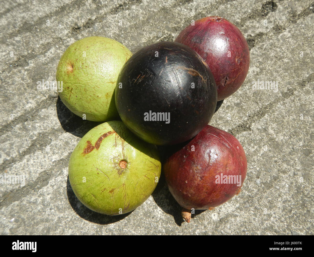 This image showcases the diverse cuisine of Bulacan, a province in the ...