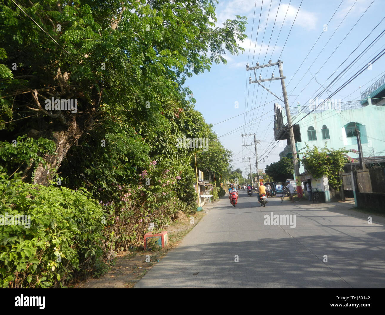 01352 Paddy fields grasslands, trees Roads Sipat Dampol Lagundi ...