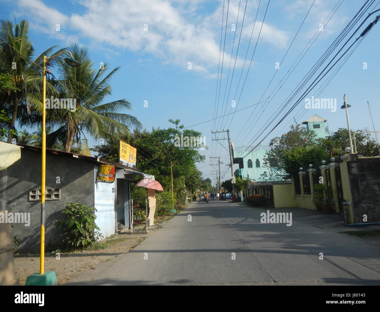 Paddy fields, grasslands, and tree-lined roads in Sipat, Dampol, and ...