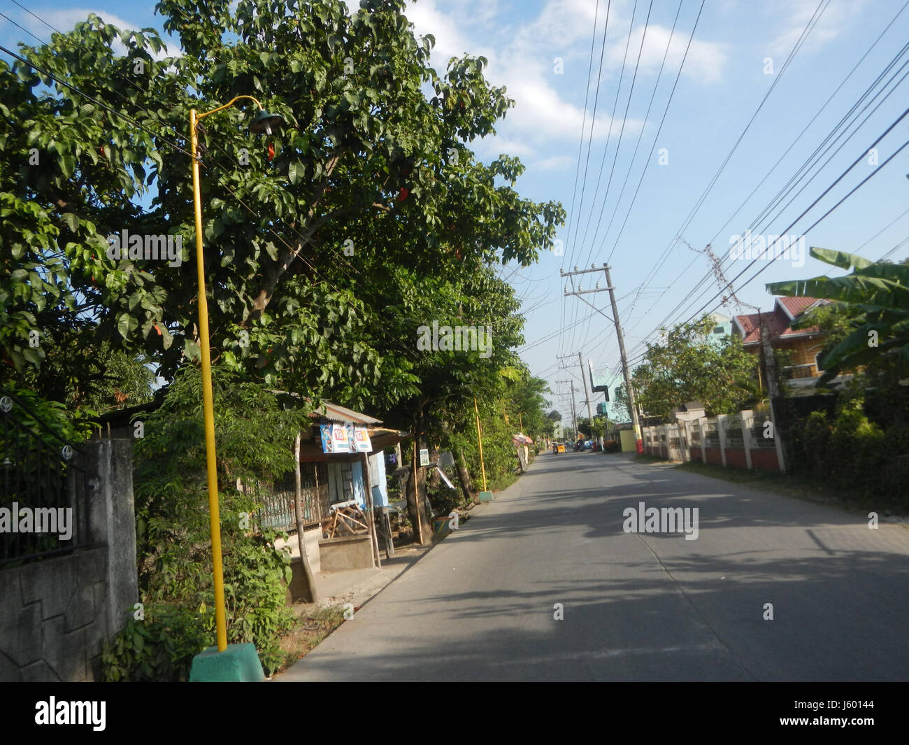01352 Paddy fields grasslands, trees Roads Sipat Dampol Lagundi ...