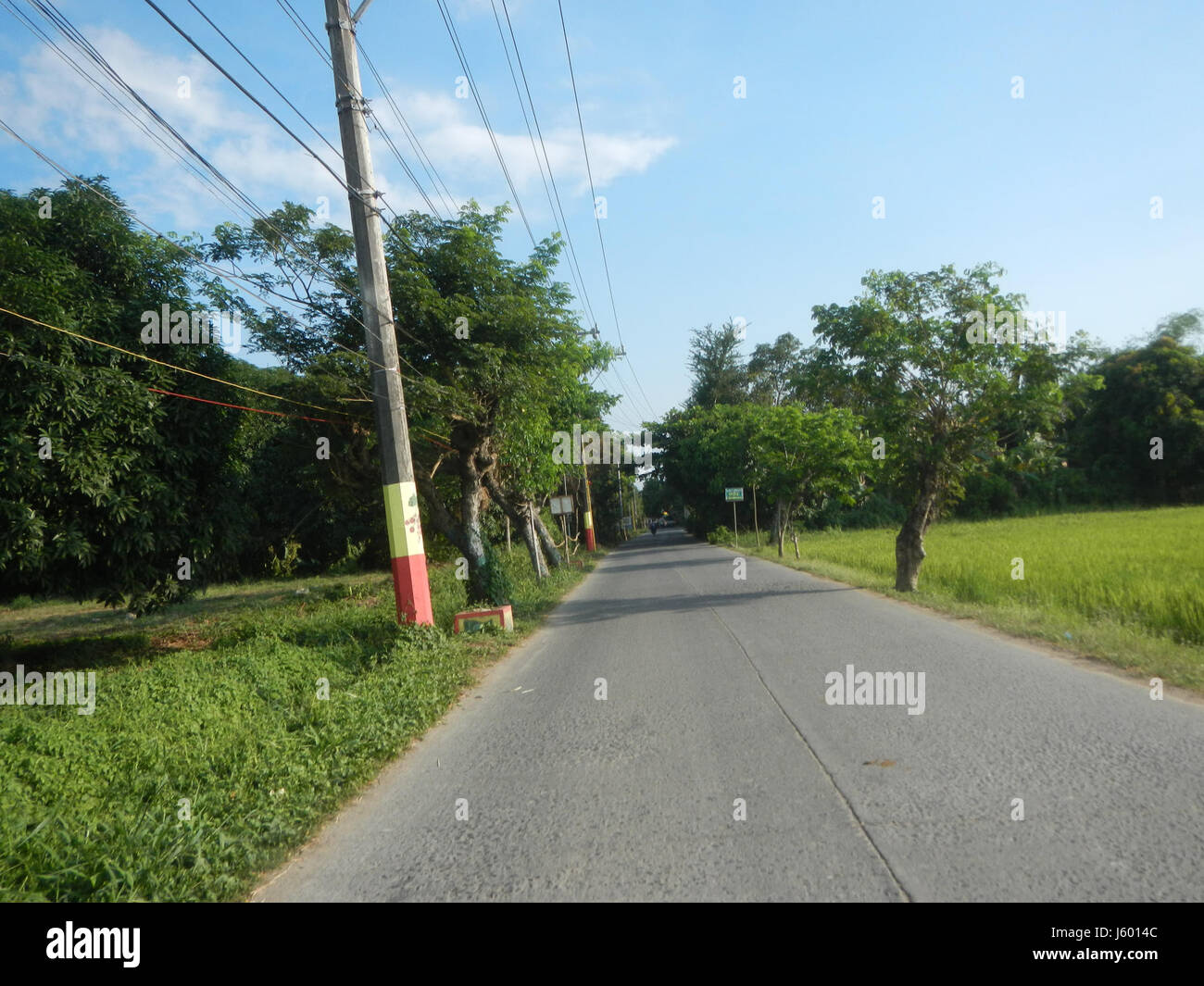 01352 Paddy fields grasslands, trees Roads Sipat Dampol Lagundi ...