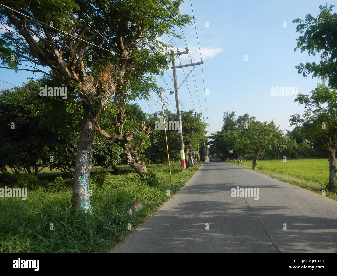 01352 Paddy fields grasslands, trees Roads Sipat Dampol Lagundi ...