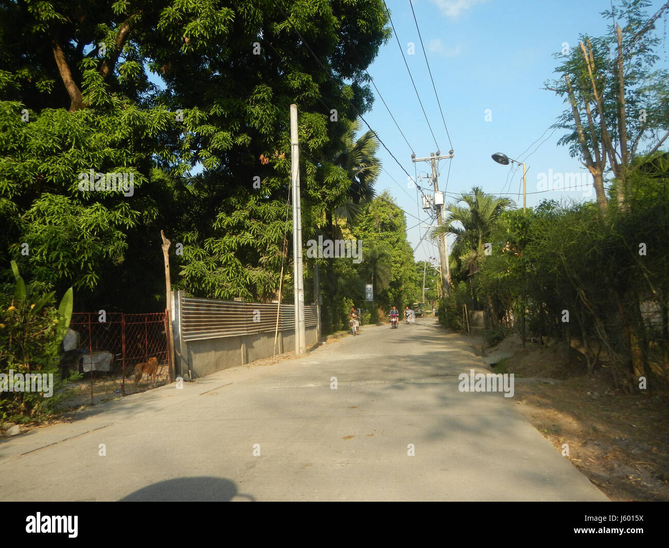 01352 Paddy fields grasslands, trees Roads Sipat Dampol Lagundi ...