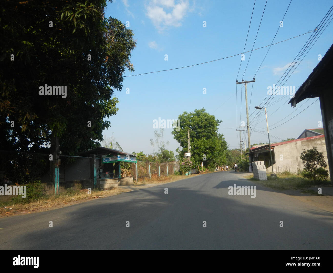 01420 Grasslands, trees Roads Sipat Dampol Lagundi, Plaridel 01 Stock ...
