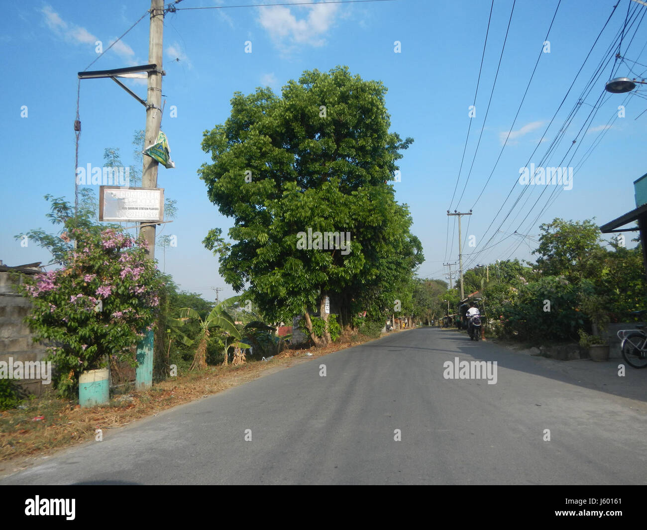 01420 Grasslands, trees Roads Sipat Dampol Lagundi, Plaridel 02 Stock ...