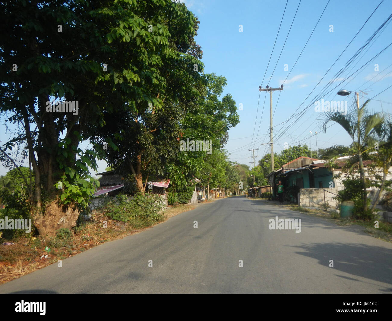 01420 Grasslands, trees Roads Sipat Dampol Lagundi, Plaridel 03 Stock ...