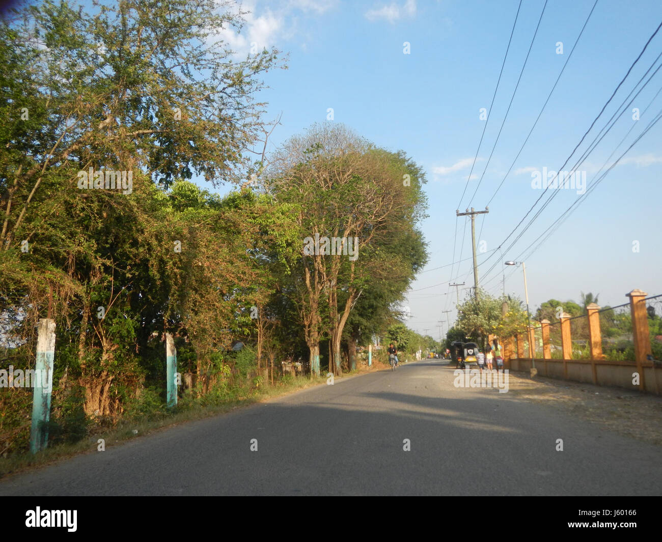 01420 Grasslands, trees Roads Sipat Dampol Lagundi, Plaridel 07 Stock ...