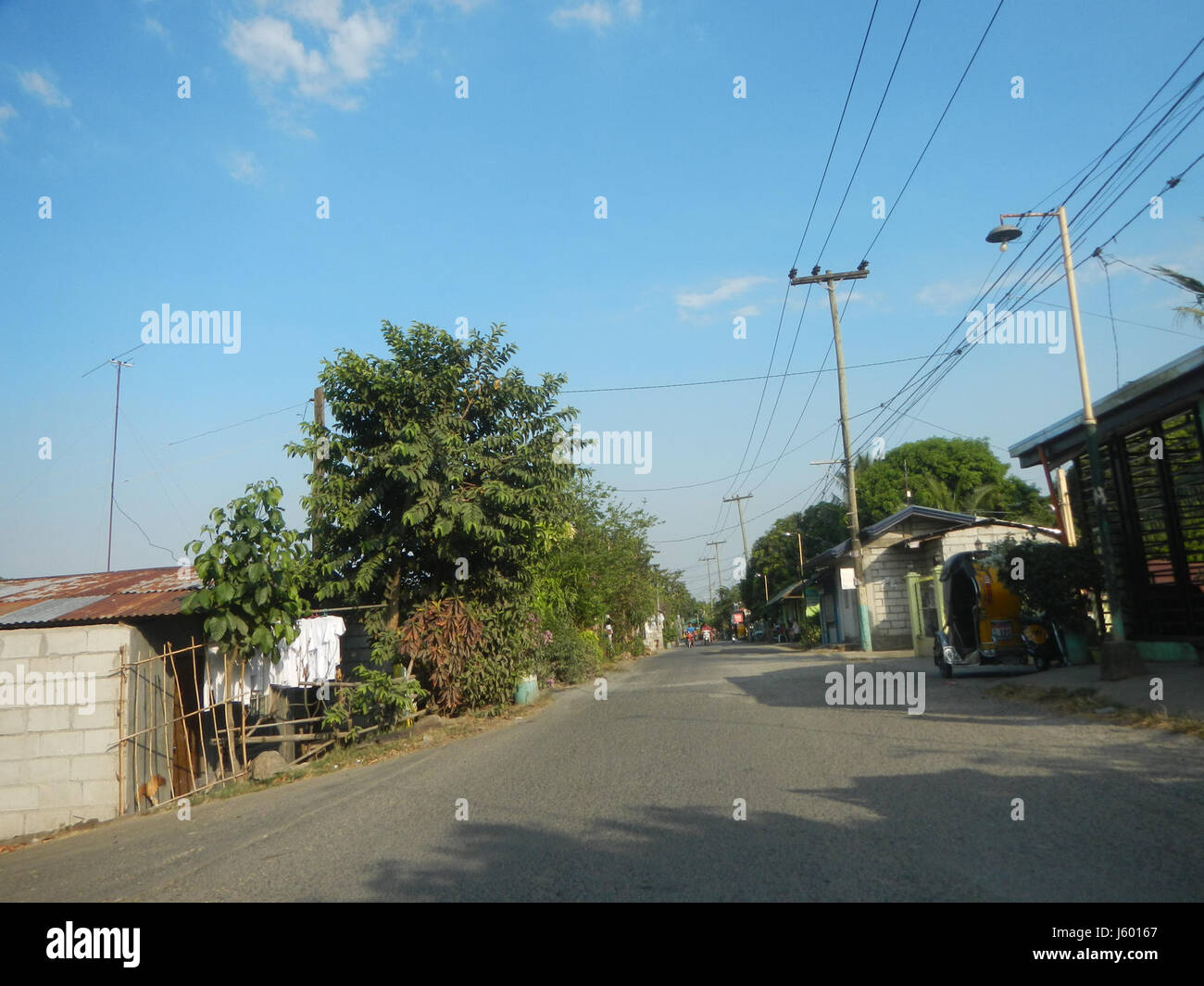 01420 Grasslands, trees Roads Sipat Dampol Lagundi, Plaridel 08 Stock ...