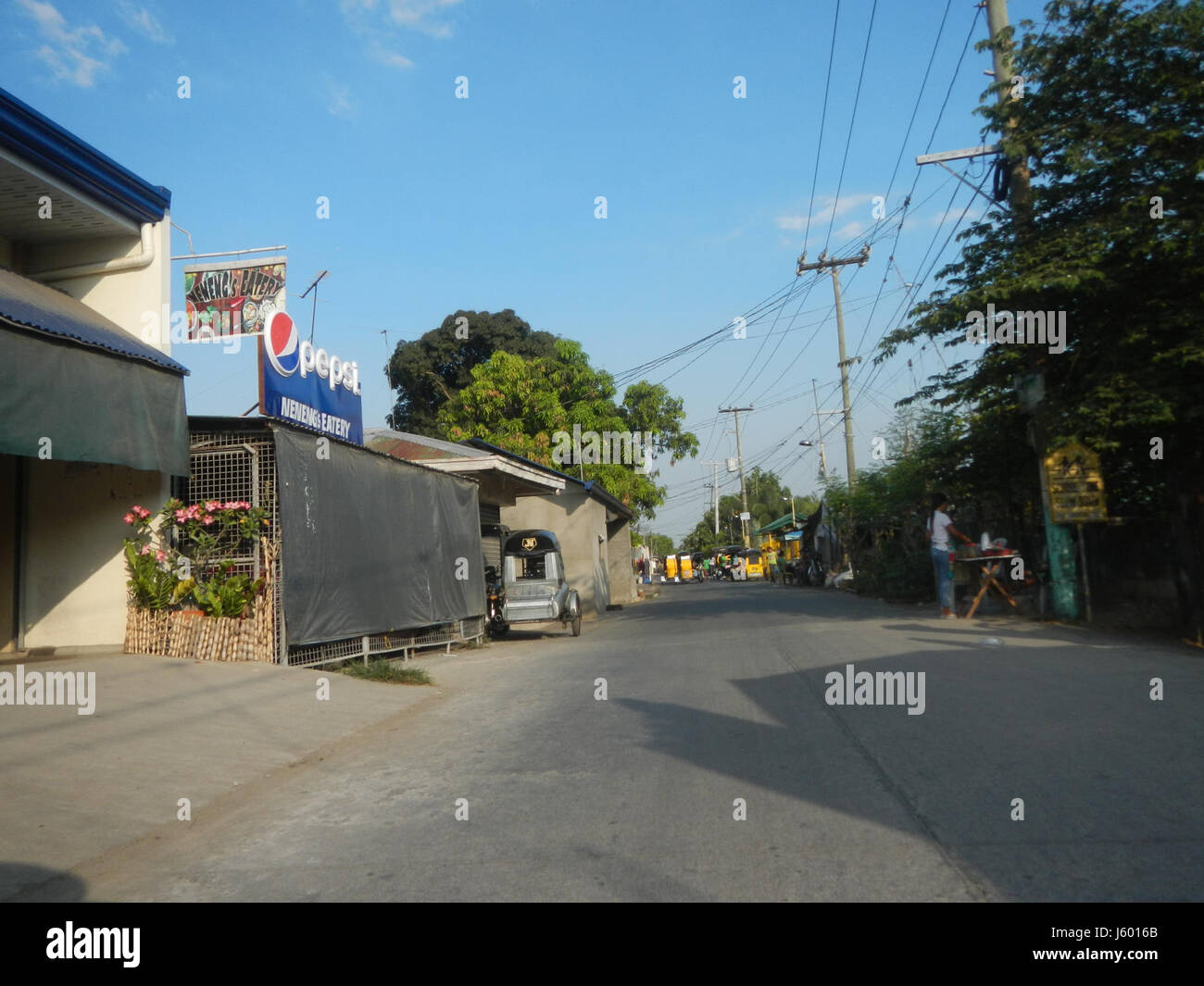 This image shows the landscape of grasslands and trees along the roads ...