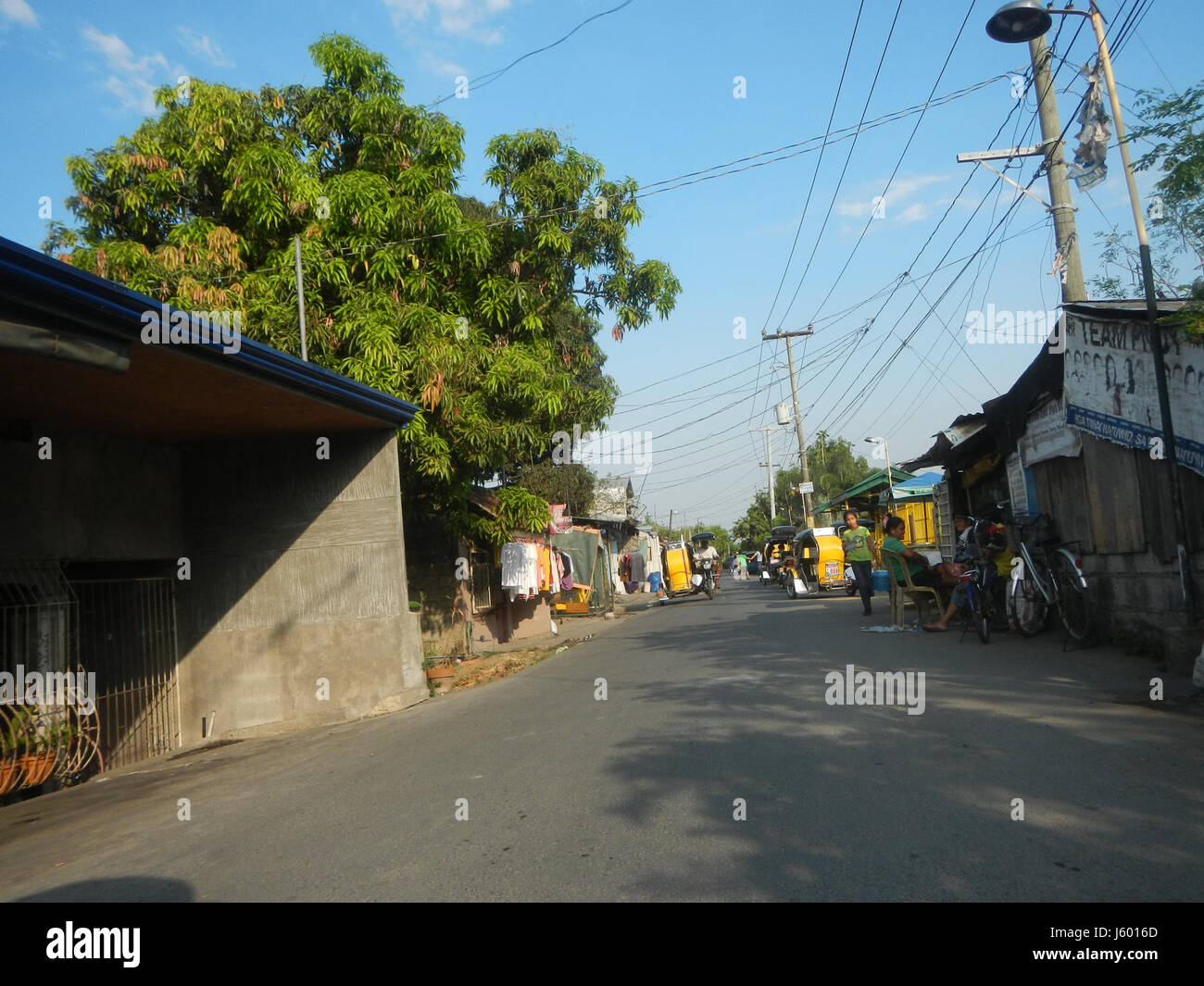 A view of grasslands and trees along roads in the areas of Sipat ...