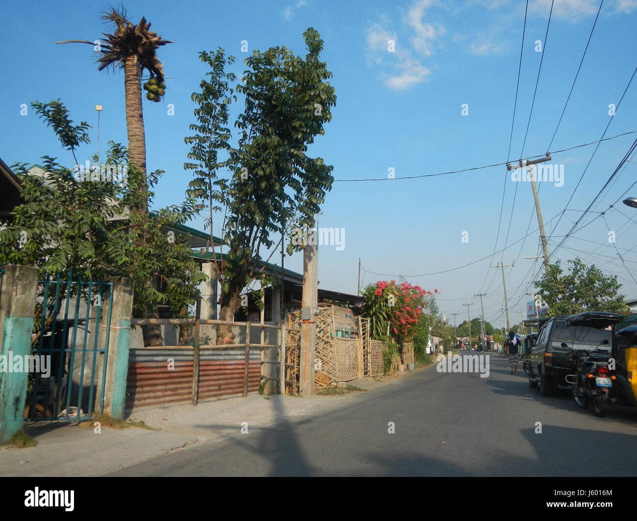 01420 Grasslands, trees Roads Sipat Dampol Lagundi, Plaridel 21 Stock ...
