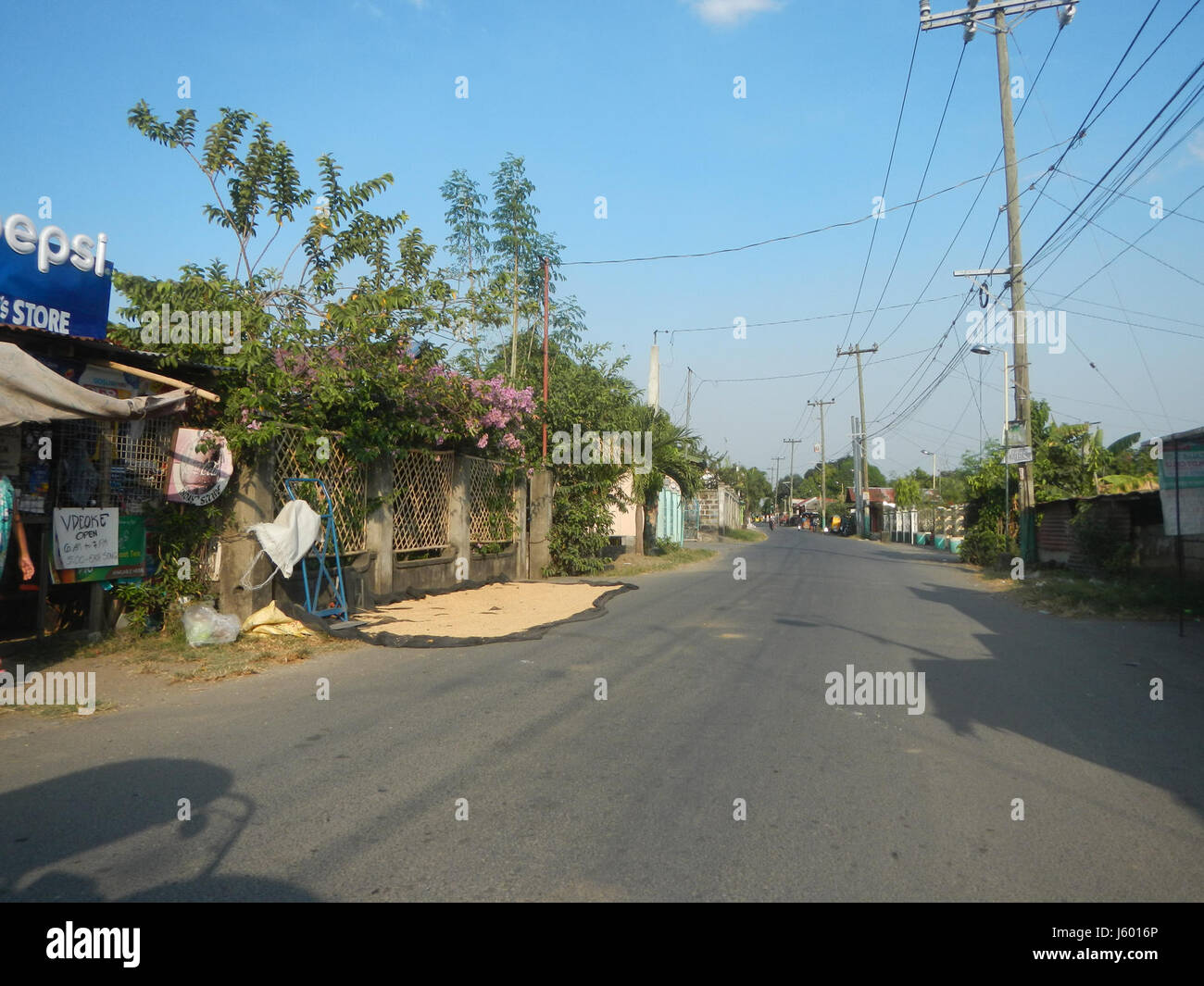 01420 Grasslands, trees Roads Sipat Dampol Lagundi, Plaridel 23 Stock ...