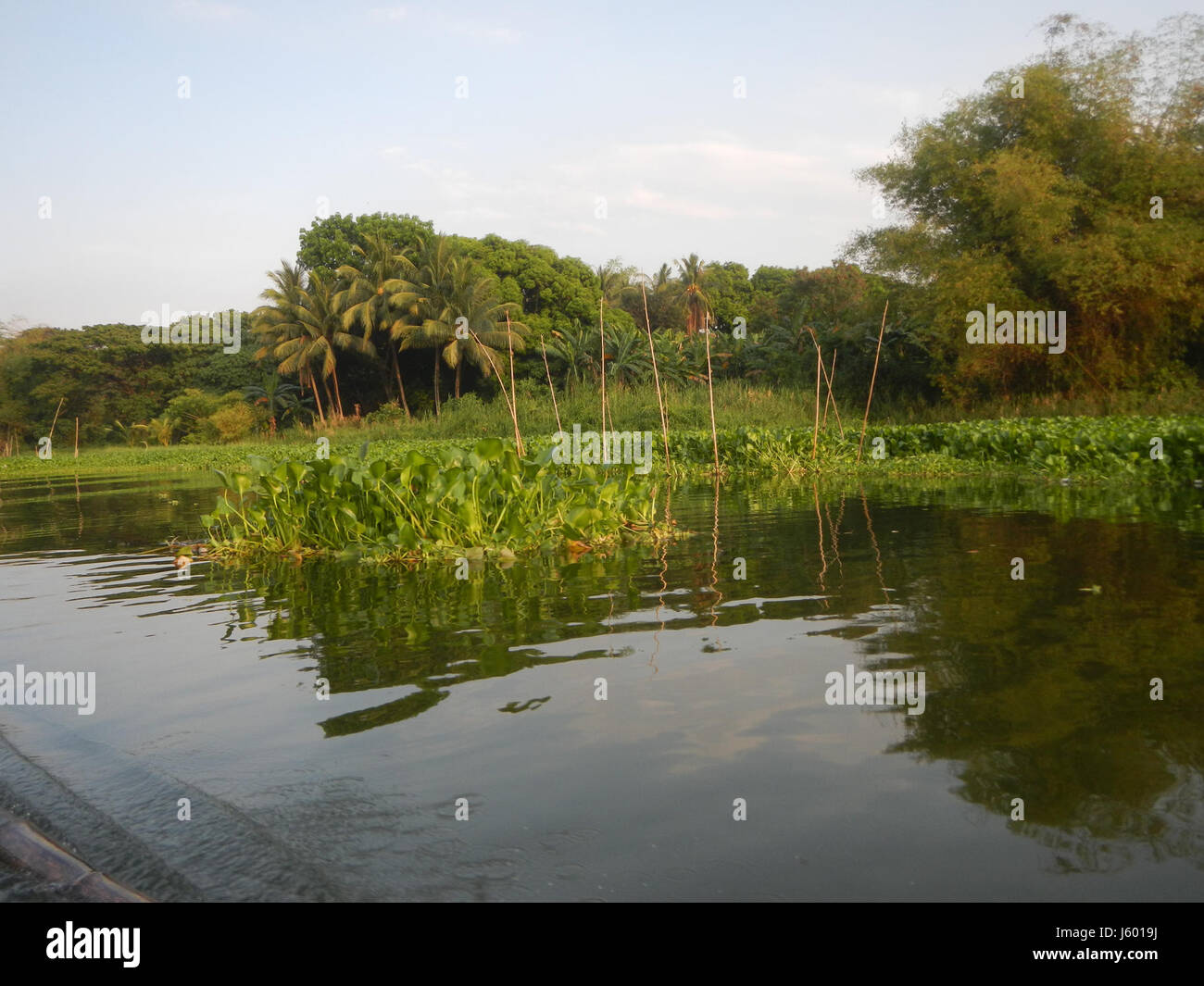 This project in Pulilan and Plaridel, Bulacan, involves riverbank ...