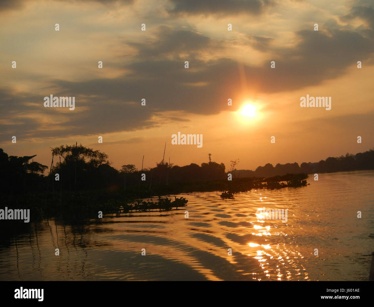 The 'Sunsets in Calumpit' showcases the serene beauty of the Bulacan ...