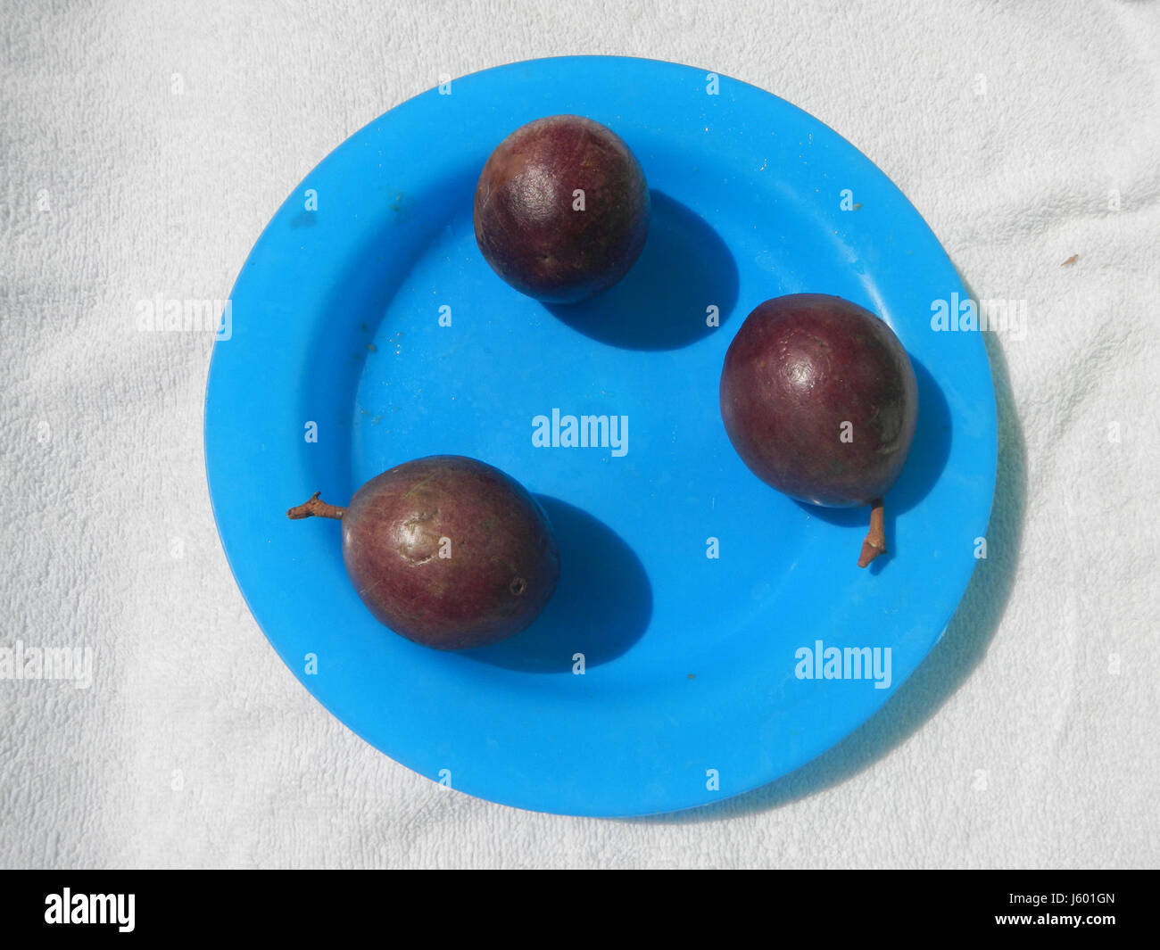 Duhat hi-res stock photography and images - Alamy