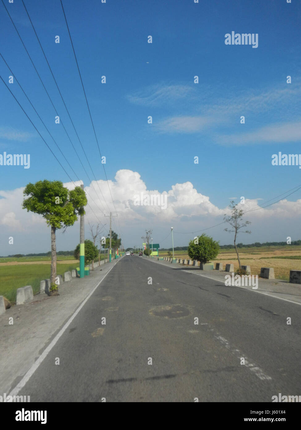 This image depicts the Santa Monica and San Isidro rehabilitation roads ...