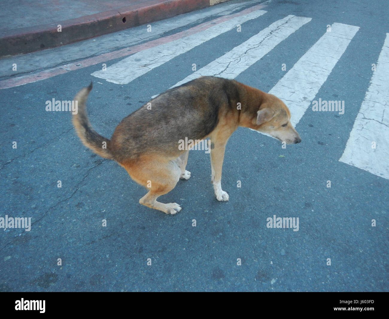 Map of avis hi-res stock photography and images - Alamy