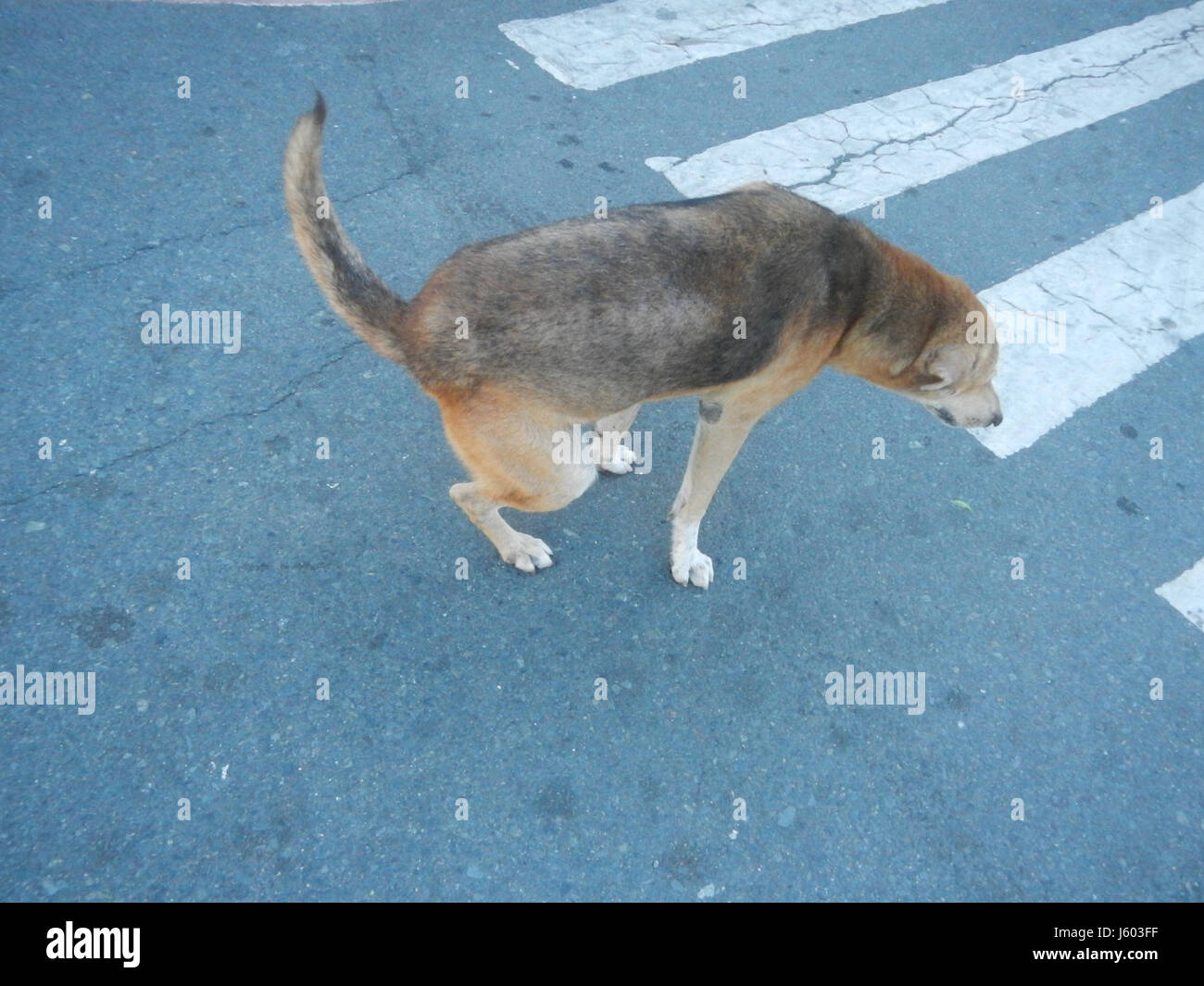 Map of avis hi-res stock photography and images - Alamy