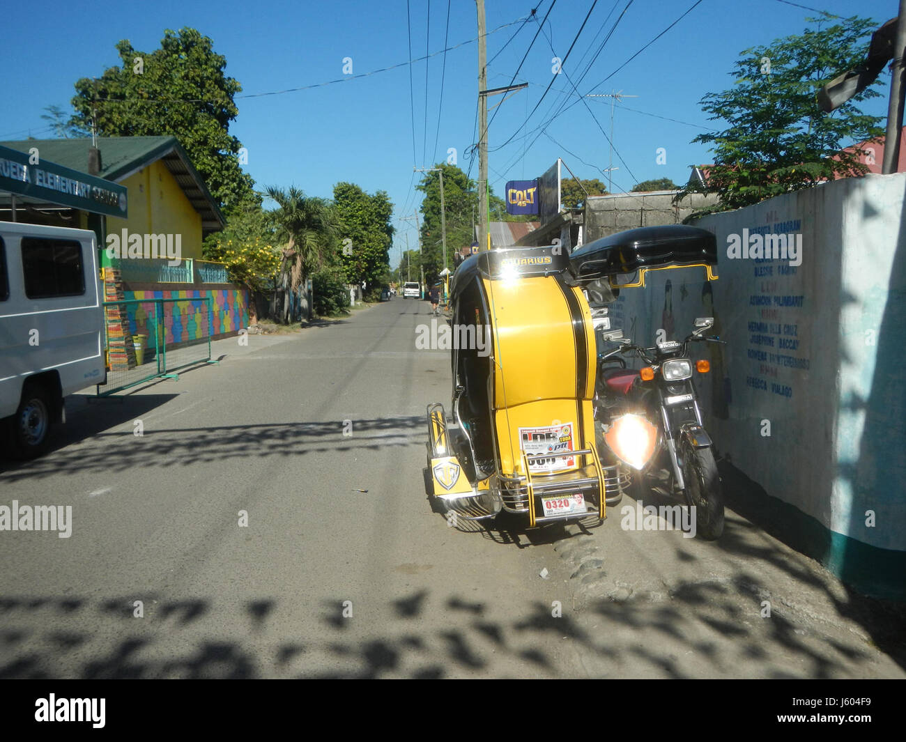 This image highlights the construction of Diospyros Blancoi trees along ...