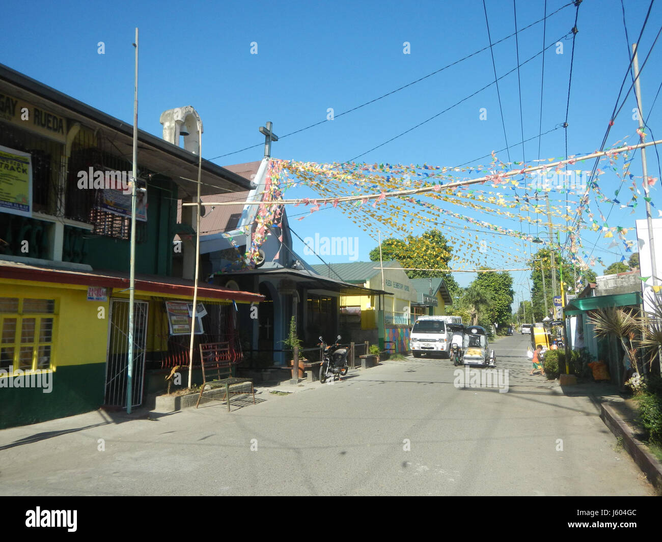 Diospyros blancoi, also known as Mabolo, is a species of fruit tree ...
