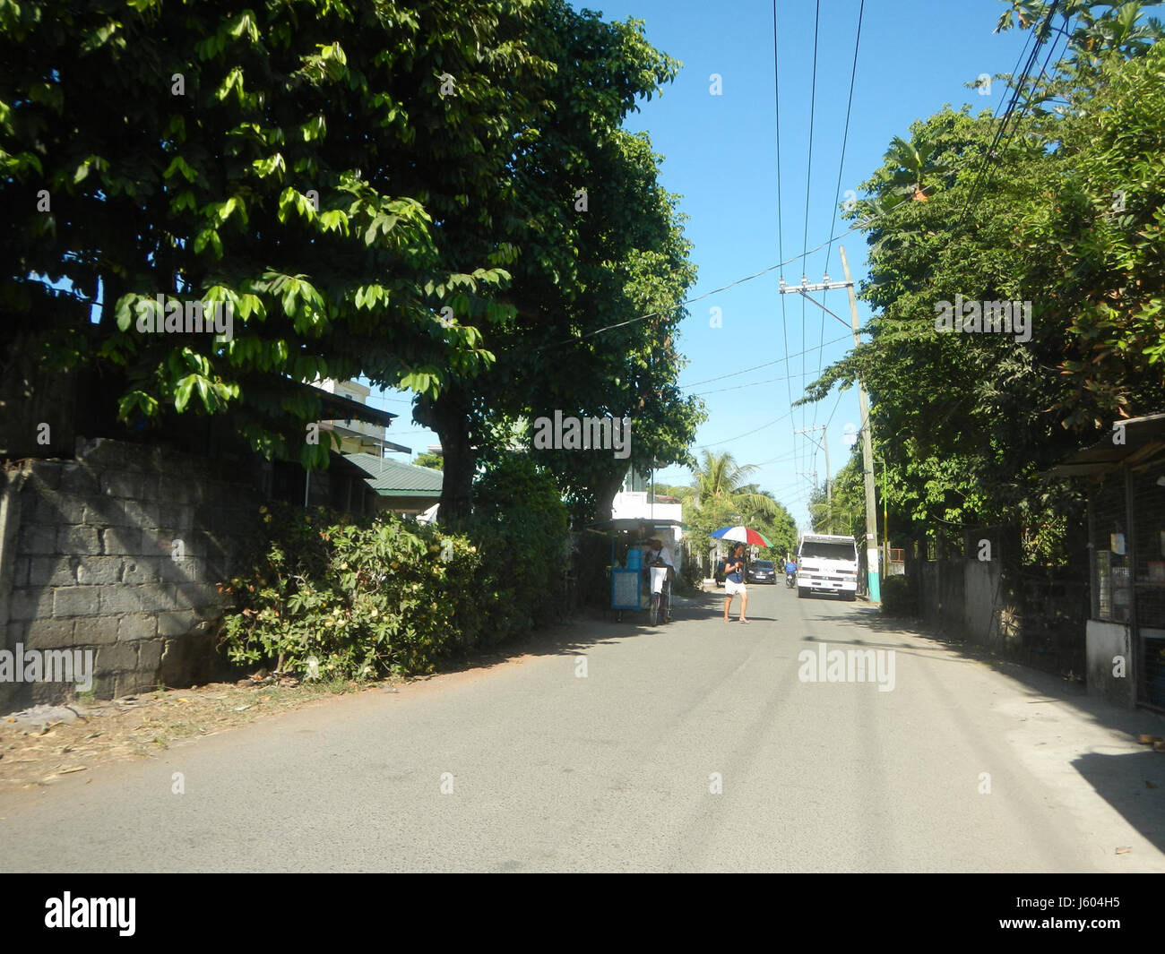 04544 Diospyros blancoi Dampol Rueda Plaridel Pungo Calumpit Bulacan 21 ...