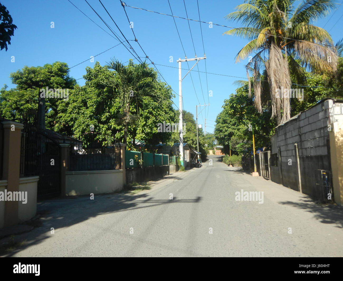 Mabolo fruit hi-res stock photography and images - Alamy