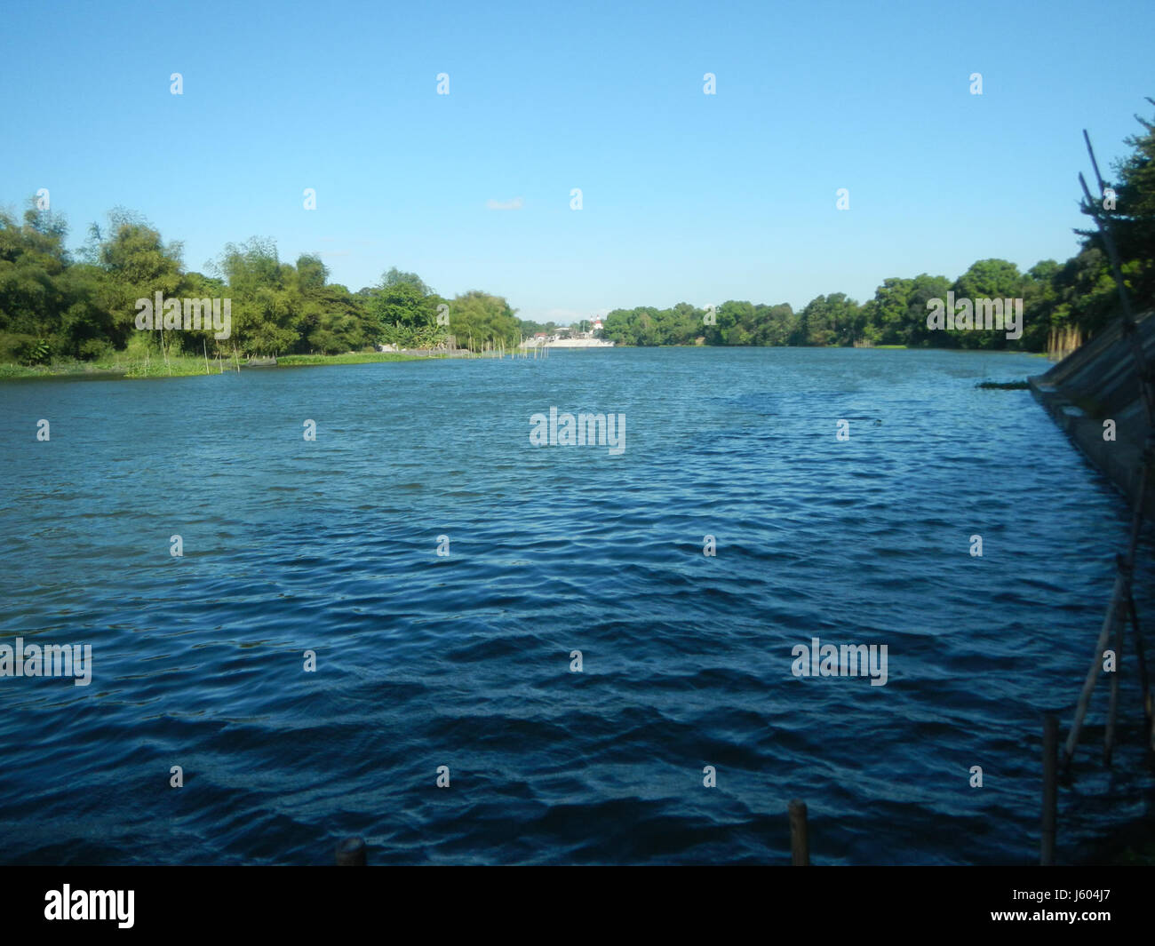 Mabolo fruit hi-res stock photography and images - Alamy