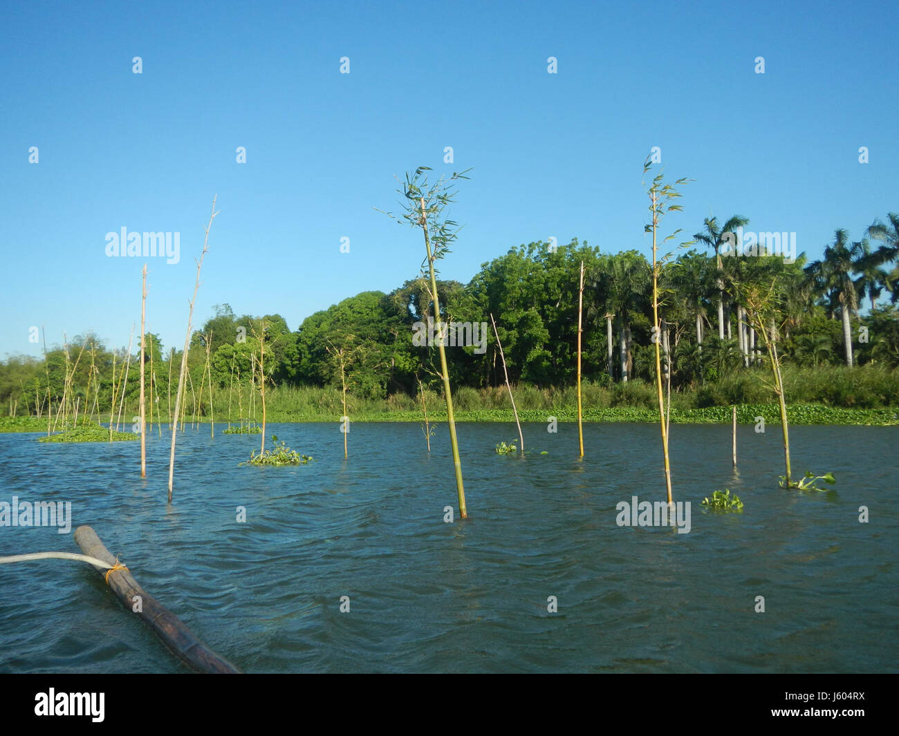 This entry describes the rural districts in Calumpit, Bulacan ...