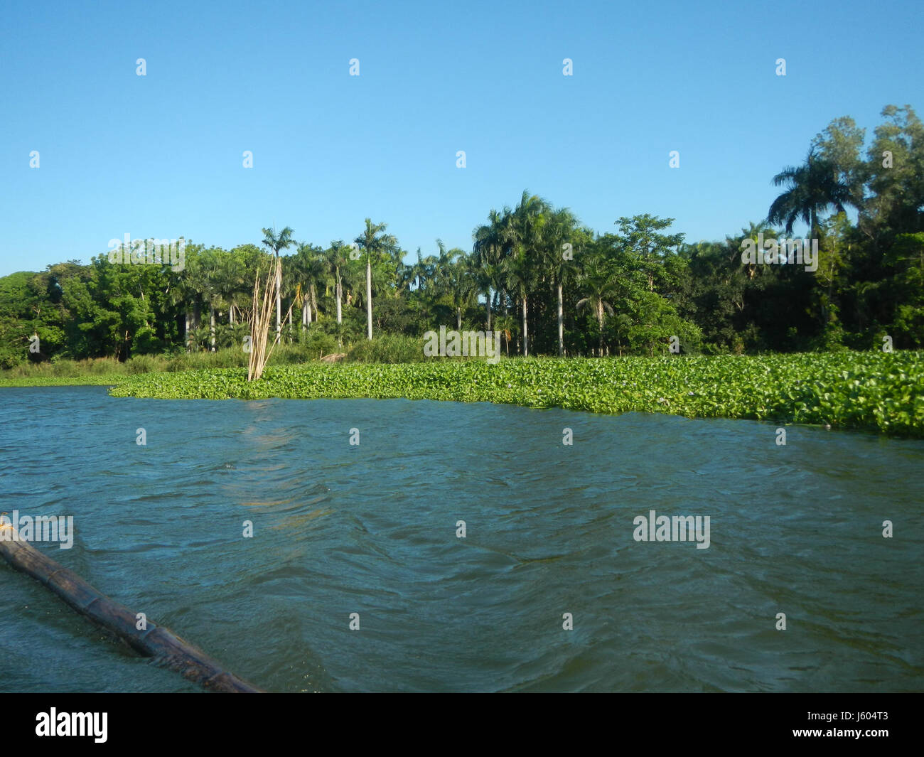 04729 Calumpit Bulacan Riverside Districts Palimbang Sergio Bayan ...