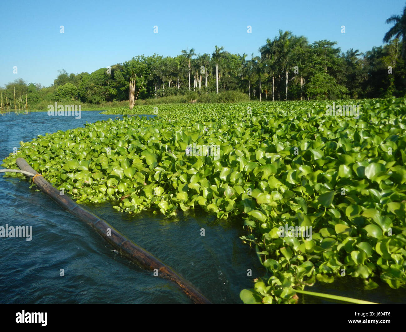 04729 Calumpit Bulacan Riverside Districts Palimbang Sergio Bayan ...