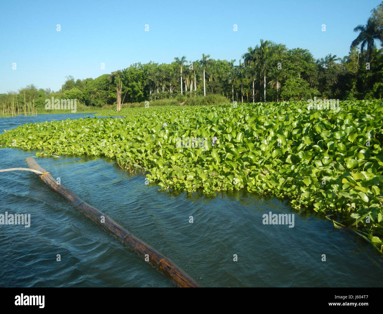 This image highlights the riverside districts of Calumpit, Bulacan ...