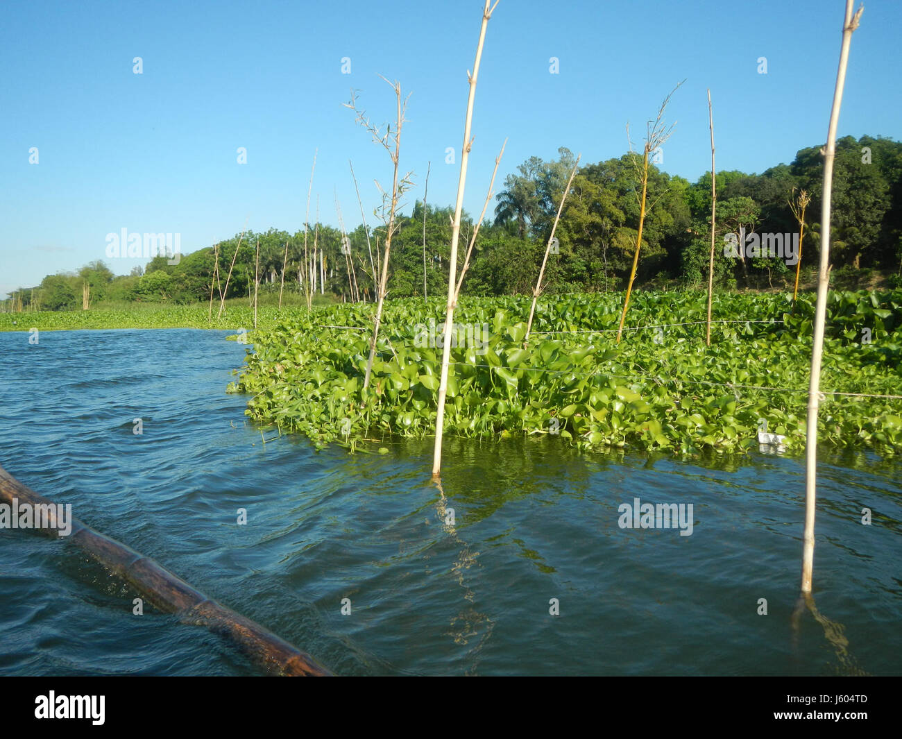 04729 Calumpit Bulacan Riverside Districts Palimbang Sergio Bayan ...