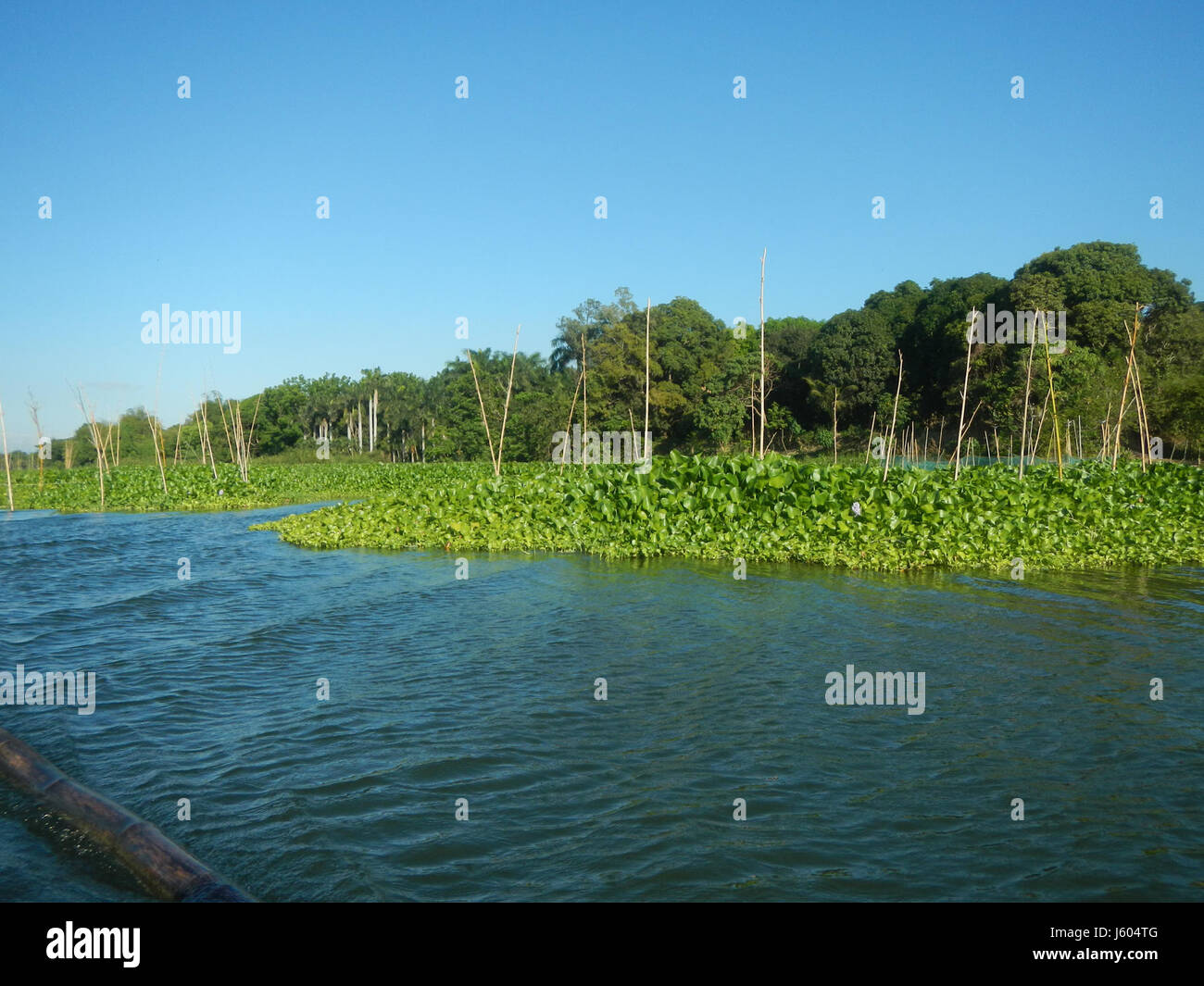 04729 Calumpit Bulacan Riverside Districts Palimbang Sergio Bayan ...
