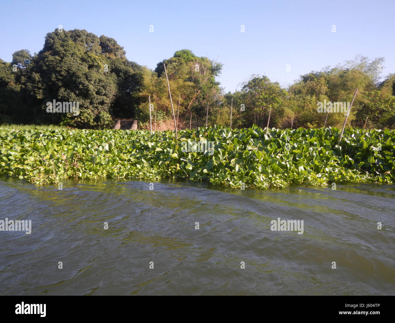 This photograph captures the Riverside Districts of Calumpit, Bulacan ...