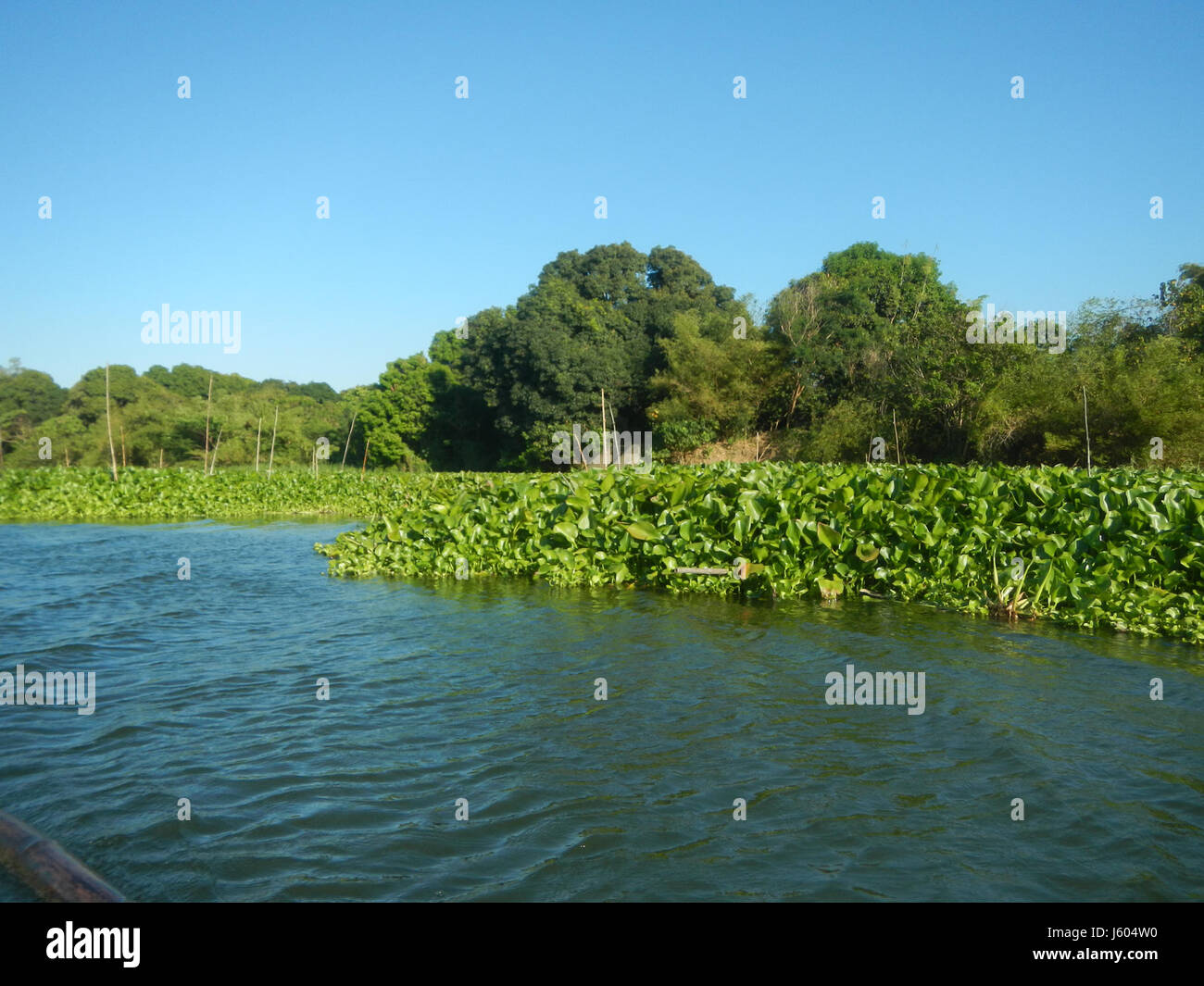 04790 Calumpit Bulacan Riverside Districts Palimbang Sergio Bayan ...