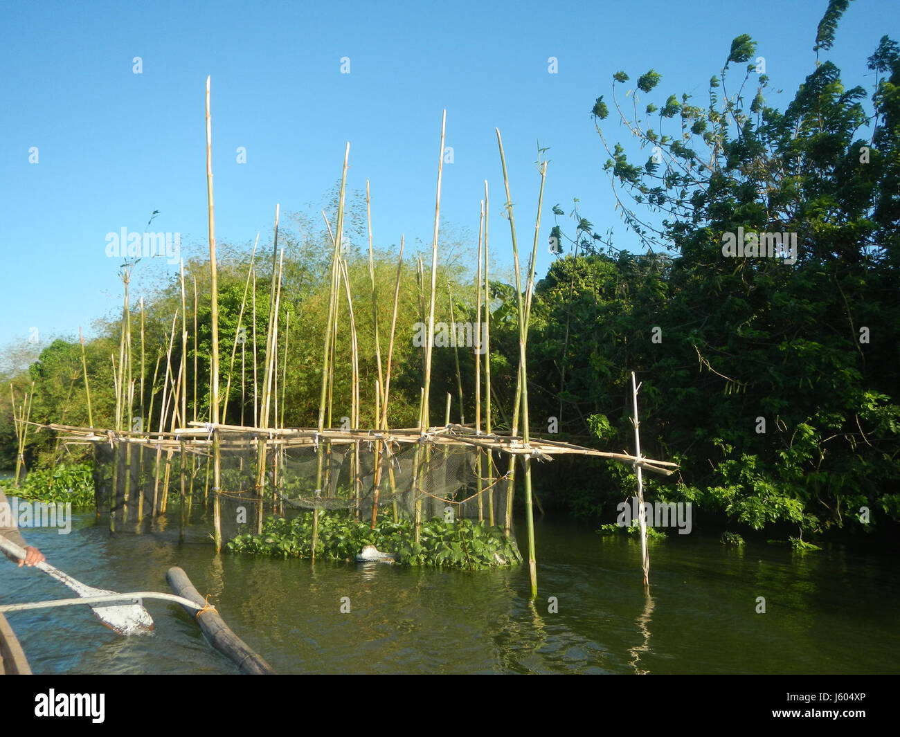This entry highlights the rural and riverside areas of Calumpit ...