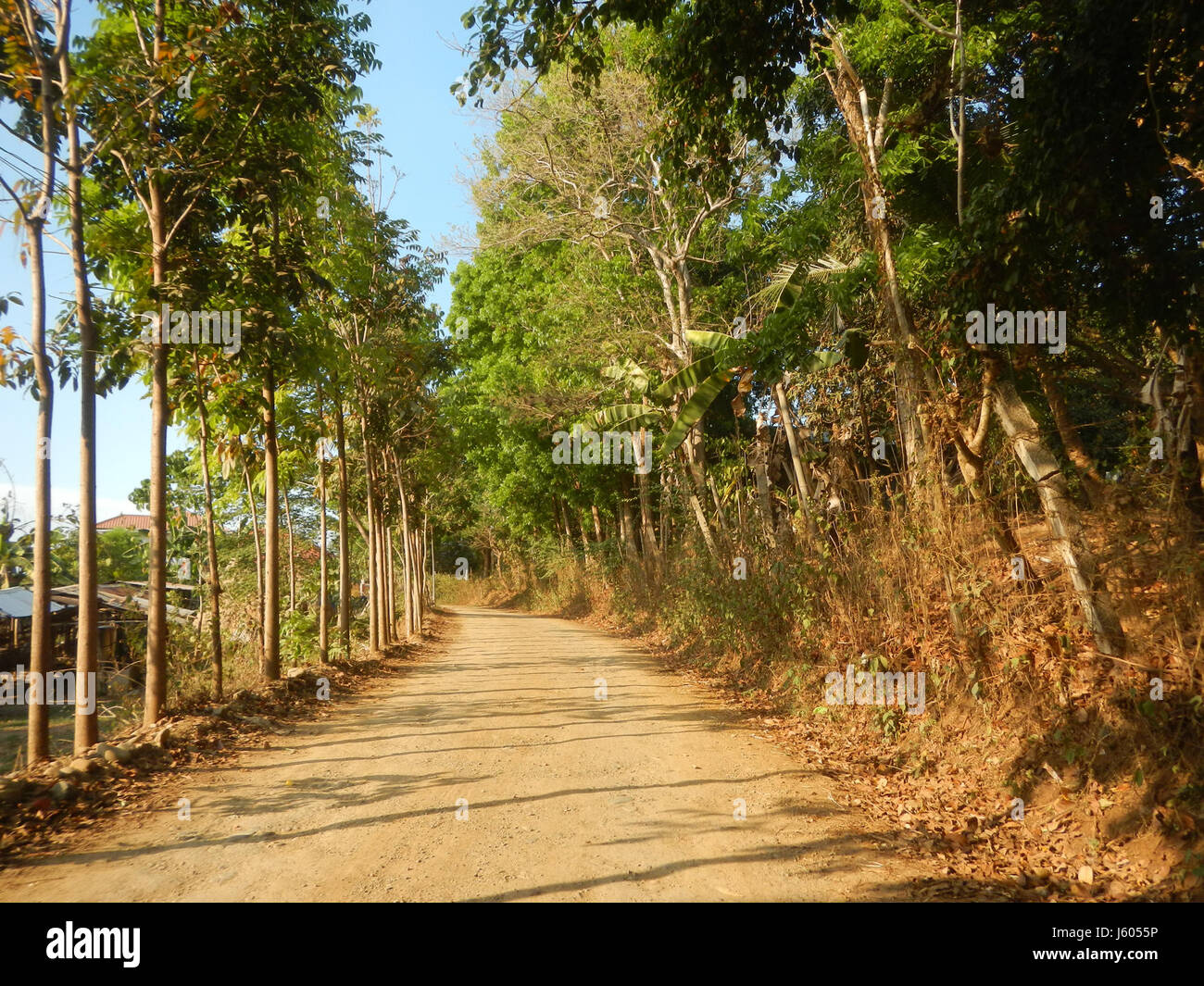 This map shows various roads in the Bulacan area, including Paddys ...