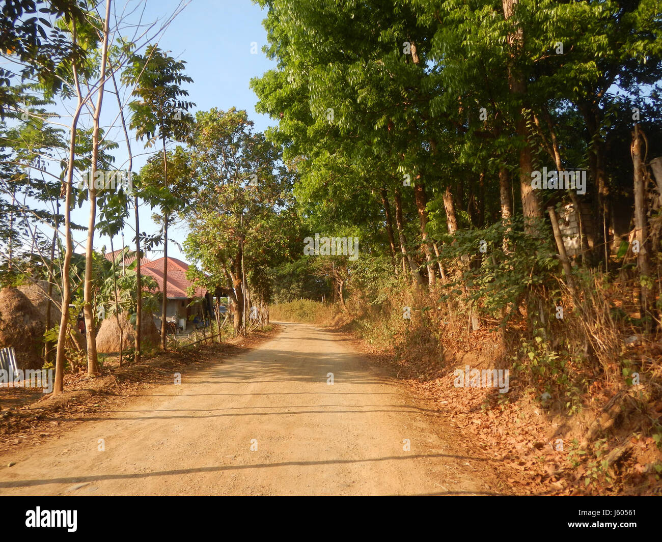 This image or map depicts agricultural and road networks in the areas ...