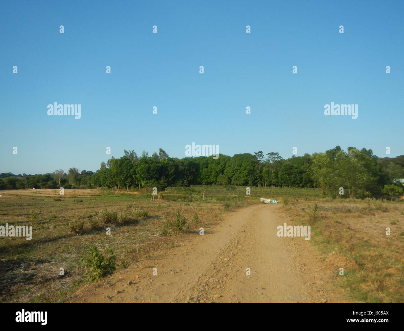 This image depicts the rural landscape of San Ildefonso, Bulacan ...