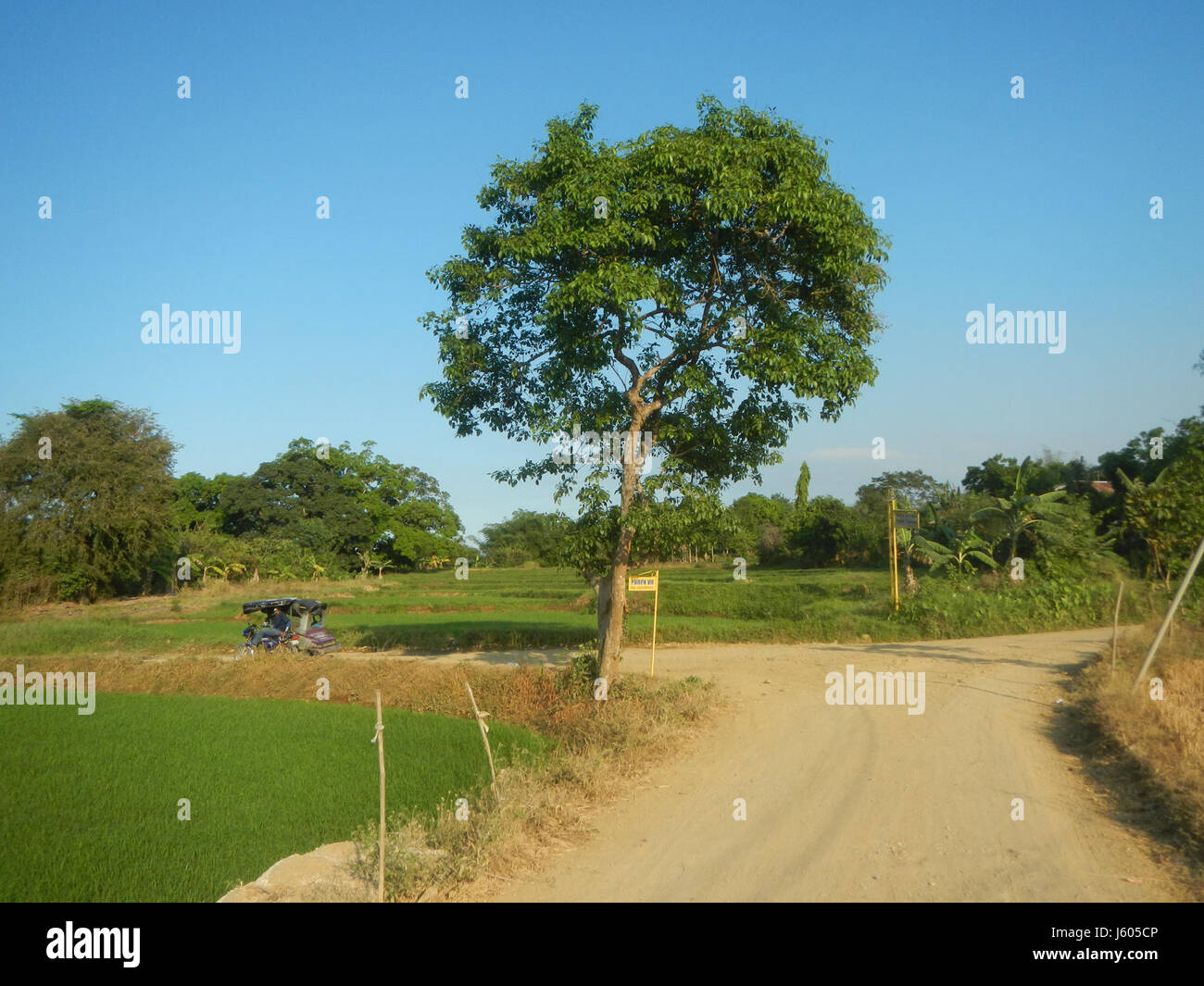 Aerial photograph showcasing the rural landscape of Pasong Bangkal in ...