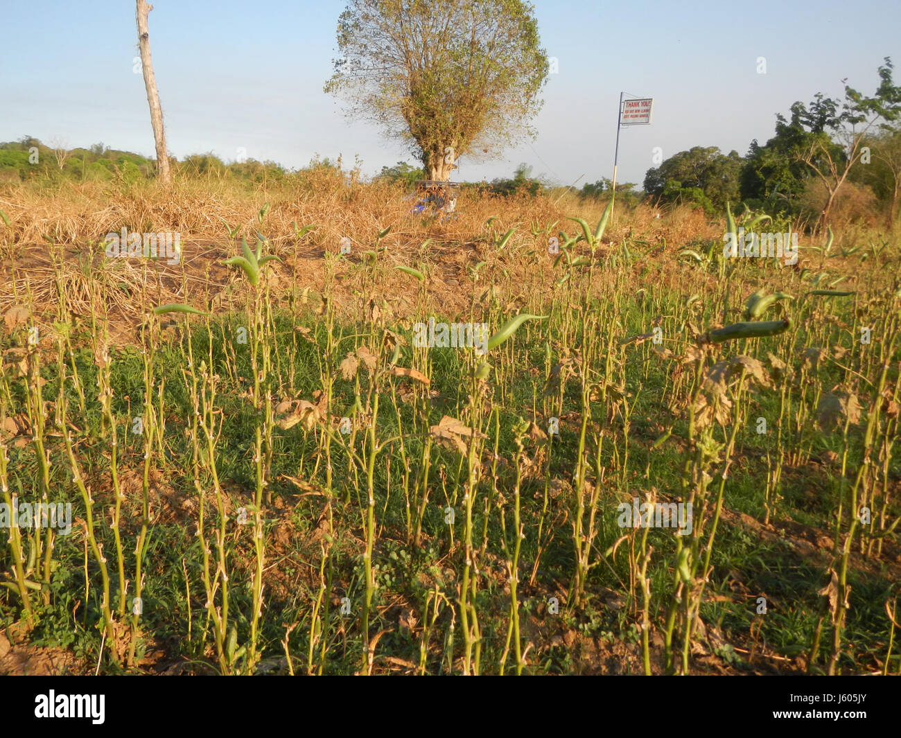 San Rafael in Ildefonso, Bulacan features municipal roads, a chapel ...